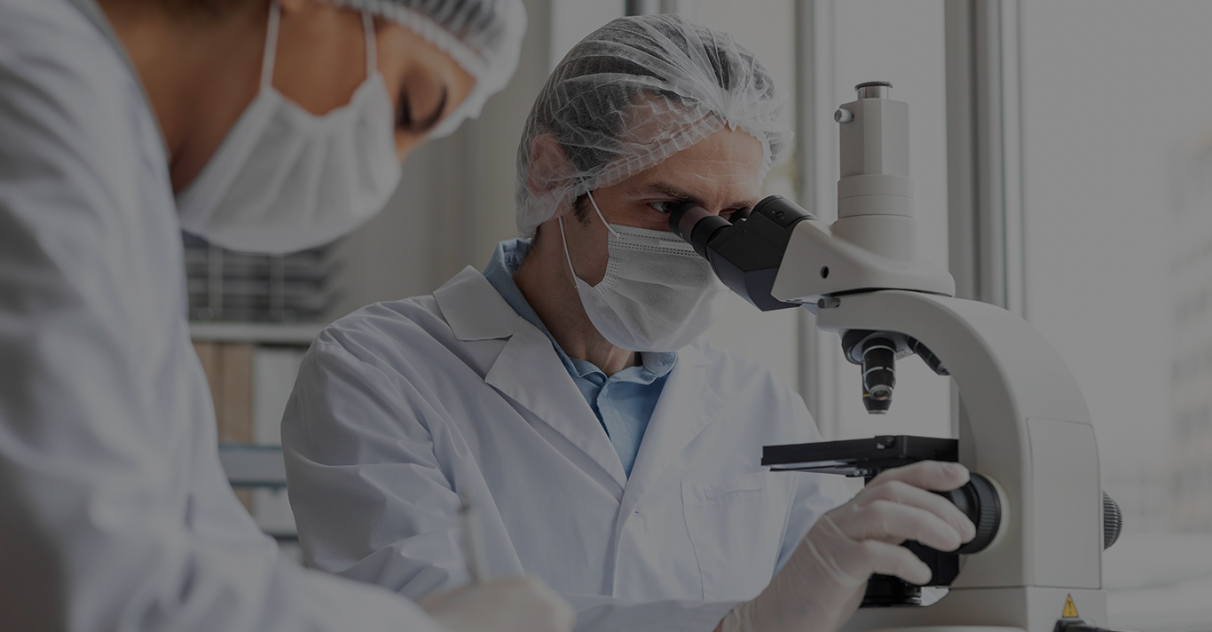 Expert Vision Labs Pvt. Ltd.